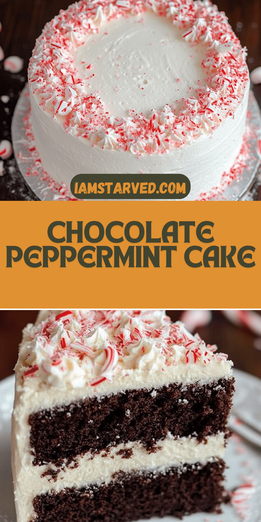 Chocolate Peppermint Cake | Iam Starved