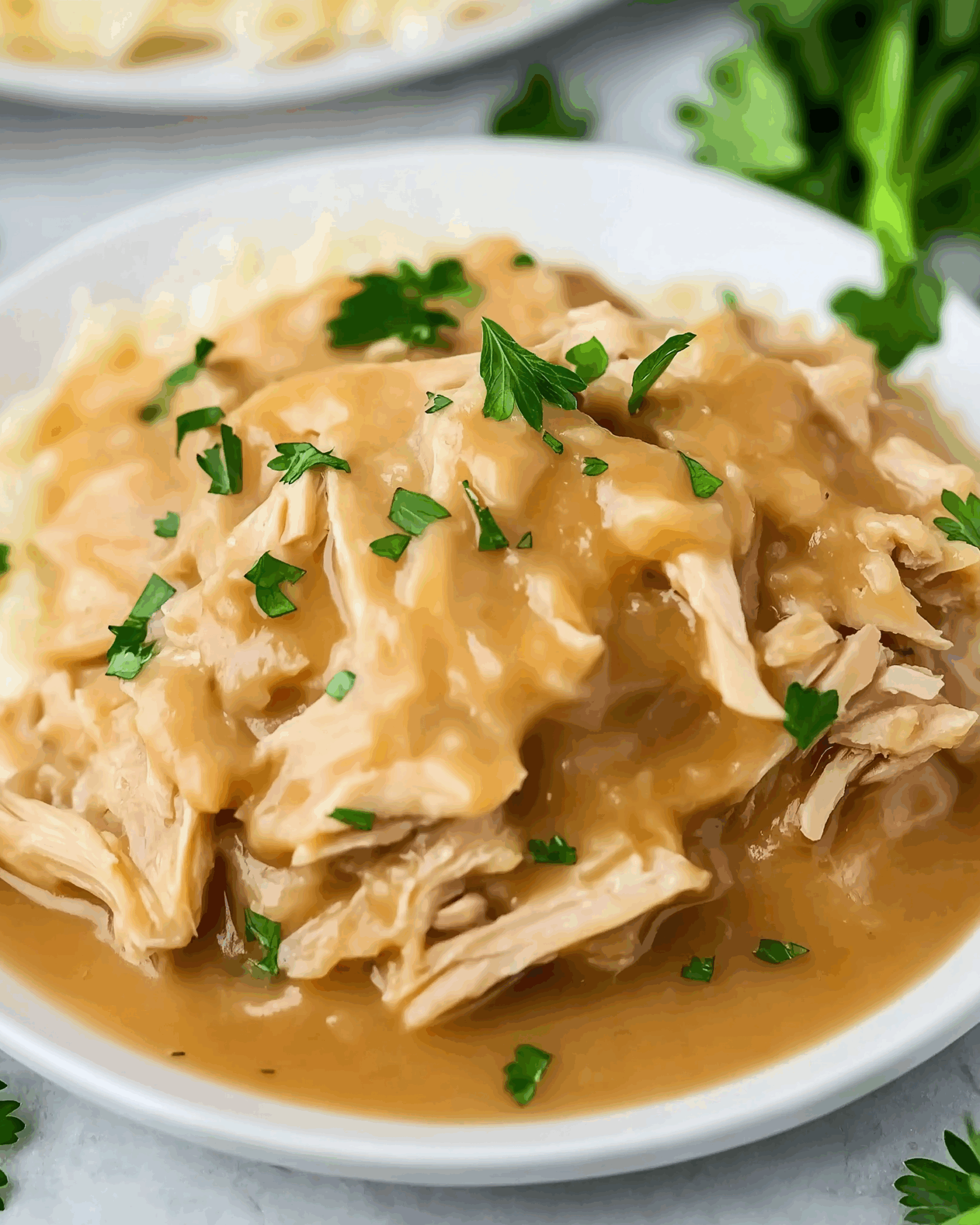 Crock Pot Turkey Breasts | Iam Starved
