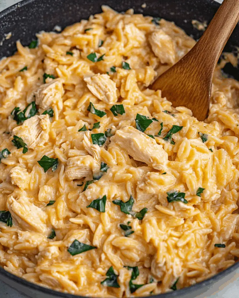 Creamy Chicken Orzo | Iam Starved